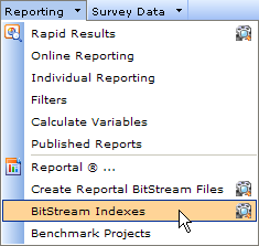 BitStream Indexes – Reportal